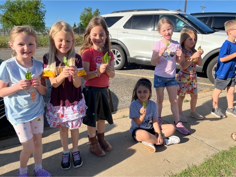 Live Feed | Wheeler ISD