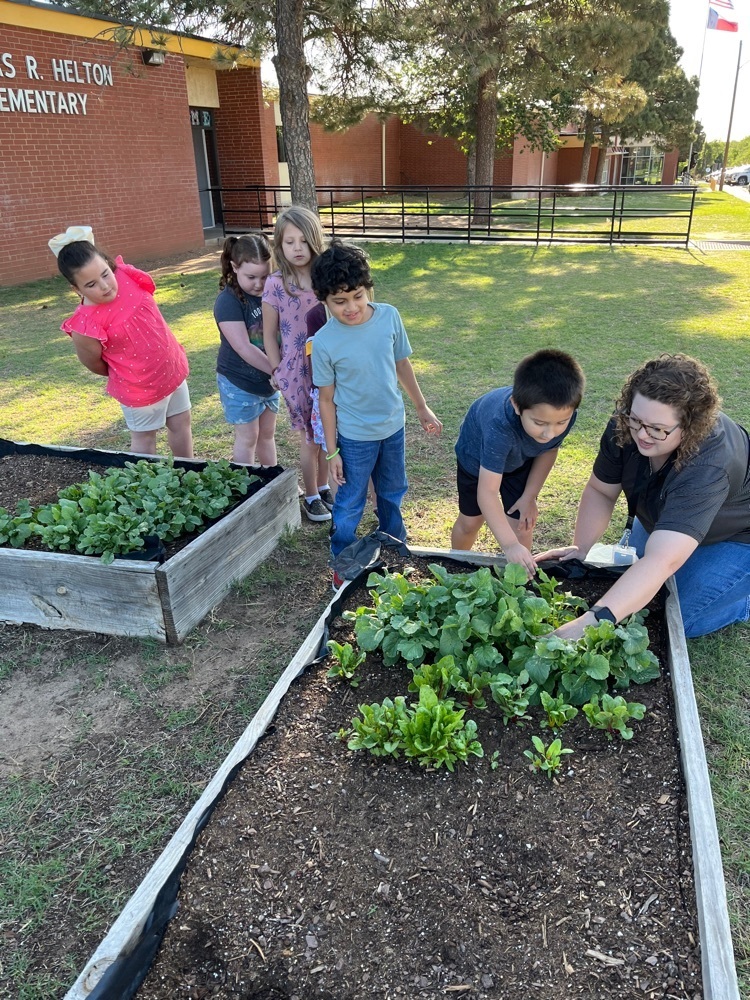 Live Feed | Wheeler ISD