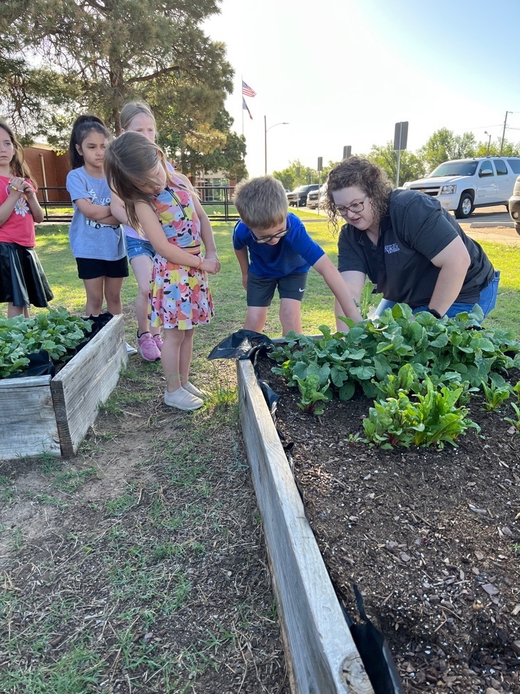 Live Feed | Wheeler ISD